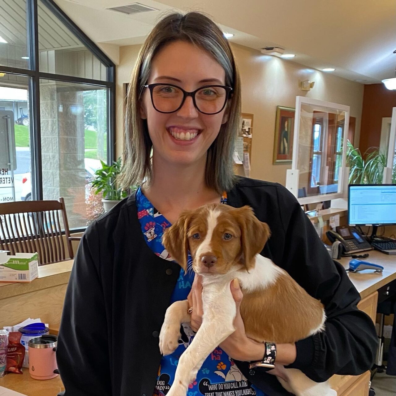 Best Vet Hospital In Morganton, NC | Healthy Petz Family Vet