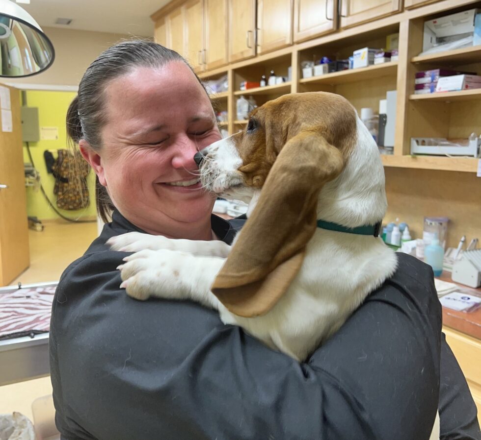 Veterinarian In Morganton NC 28655 | Healthy Petz Family Vet