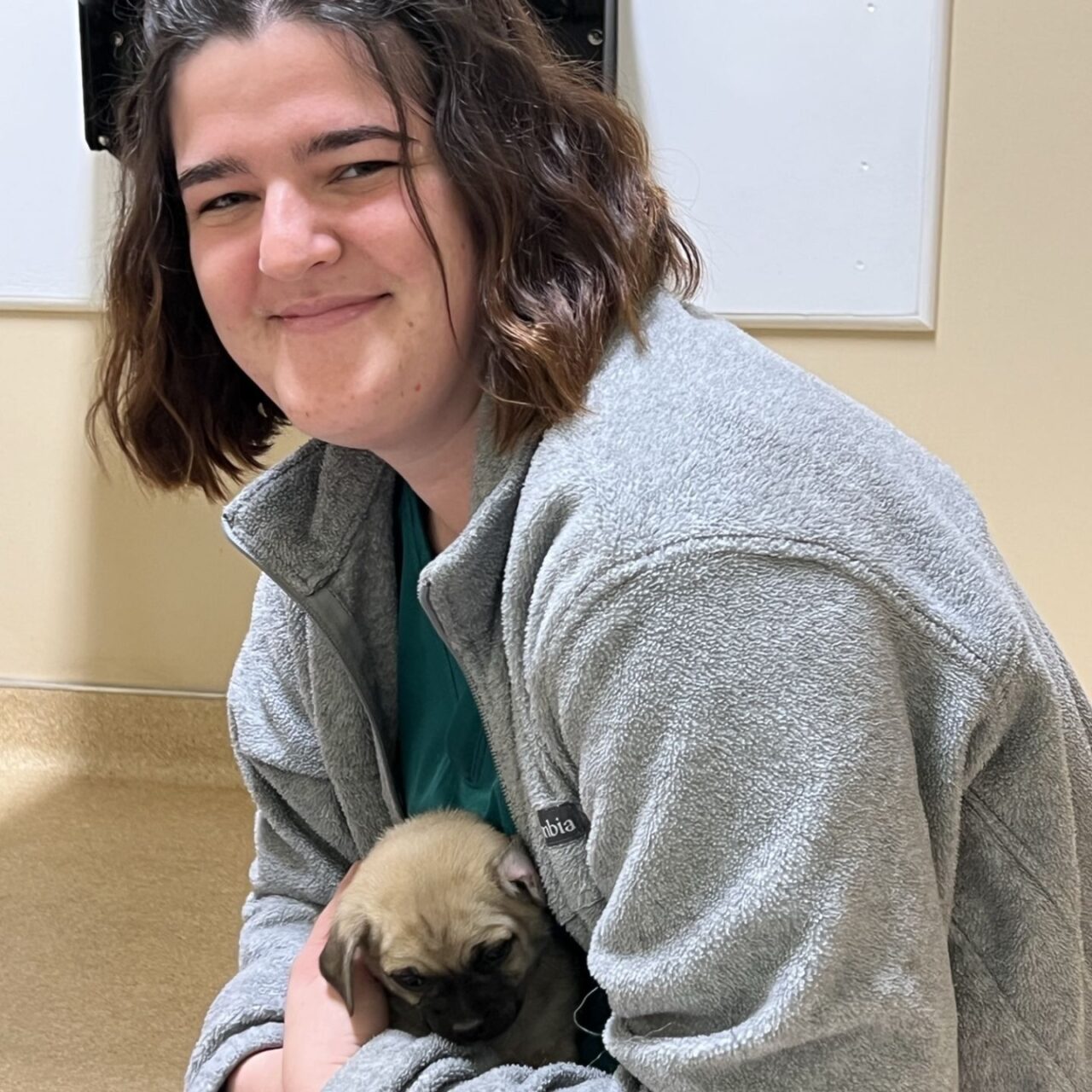 Best Vet Hospital In Morganton, NC | Healthy Petz Family Vet